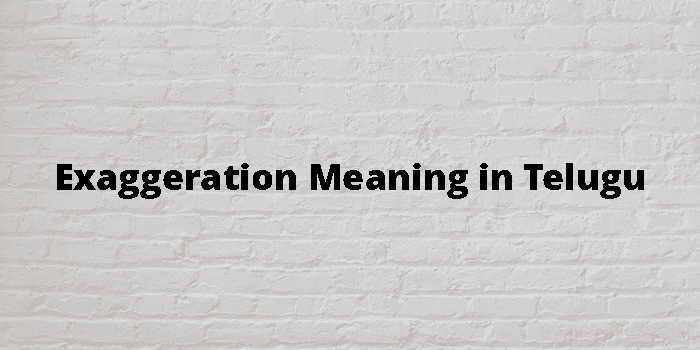 Exaggeration Meaning In Telugu - తెలుగు అర్థం