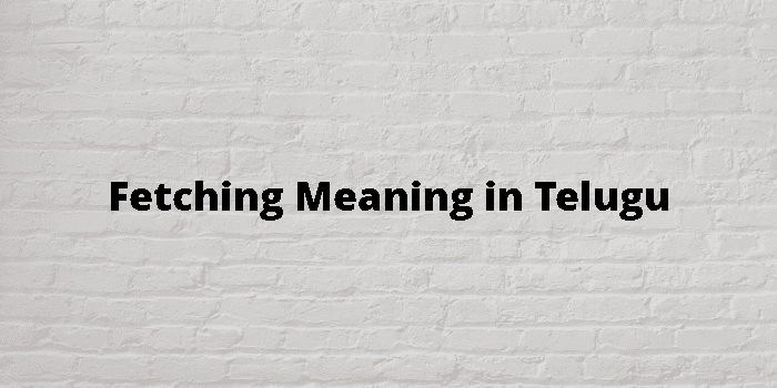 Fetching Meaning In Telugu - తెలుగు అర్థం