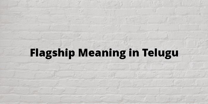 Flagship Meaning In Telugu - తెలుగు అర్థం