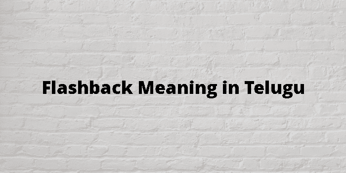 Flashback Meaning In Telugu - తెలుగు అర్థం