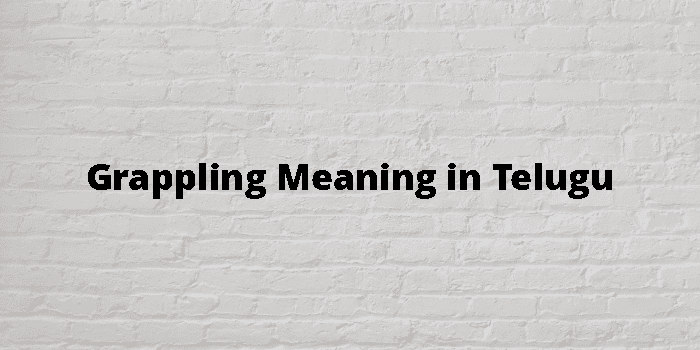 Grappling Meaning In Telugu - తెలుగు అర్థం