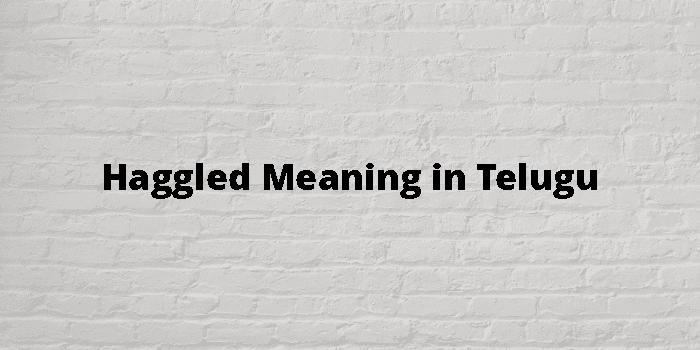 Haggled Meaning In Telugu - తెలుగు అర్థం
