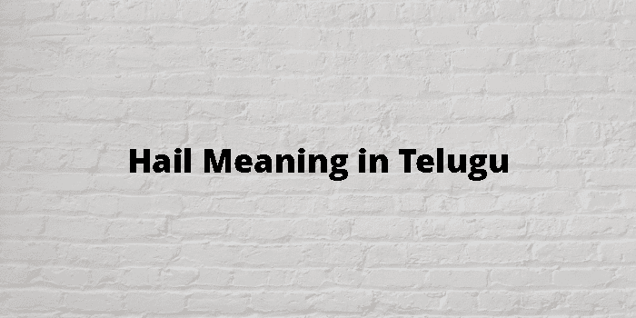Hail Meaning In Telugu - తెలుగు అర్థం