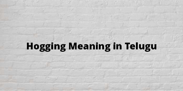 Hogging Meaning In Telugu - తెలుగు అర్థం
