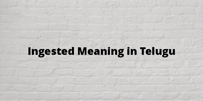 Ingested Meaning In Telugu - తెలుగు అర్థం