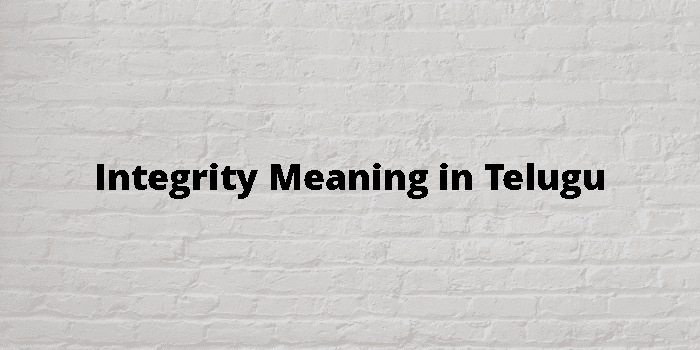 Integrity Meaning In Telugu - తెలుగు అర్థం