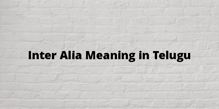 Inter Alia Meaning In Telugu - తెలుగు అర్థం
