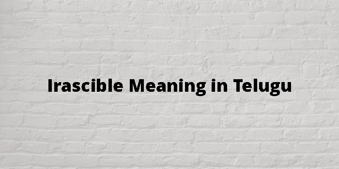 Irascible Meaning In Telugu - తెలుగు అర్థం