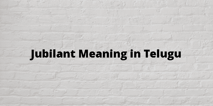 Jubilant Meaning In Telugu - తెలుగు అర్థం