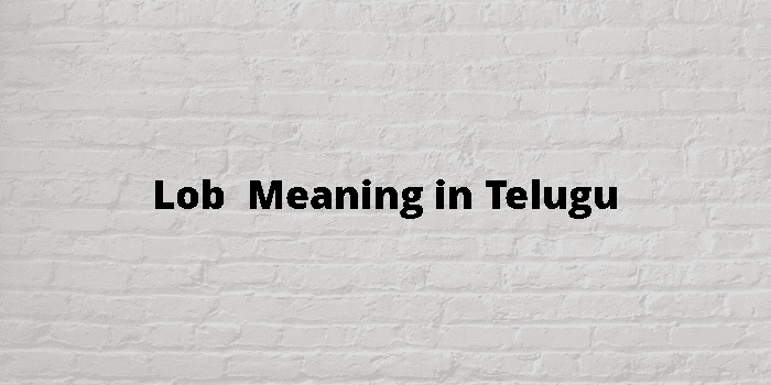 Lob Meaning In Telugu - తెలుగు అర్థం