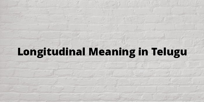 Longitudinal Meaning In Telugu - తెలుగు అర్థం