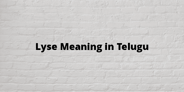 Lyse Meaning In Telugu - తెలుగు అర్థం