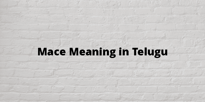Mace Meaning In Telugu - తెలుగు అర్థం