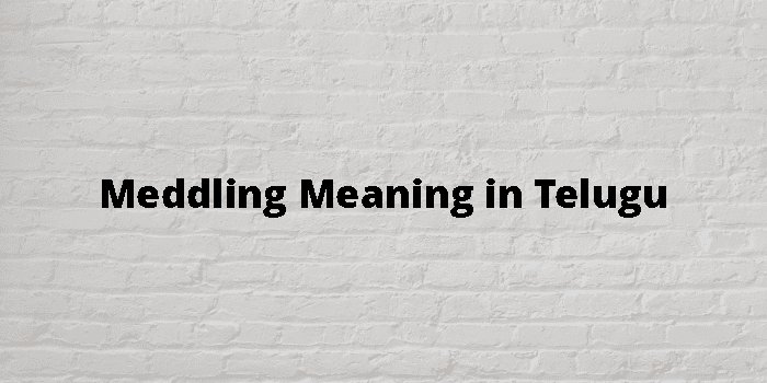 Meddling Meaning In Telugu - తెలుగు అర్థం