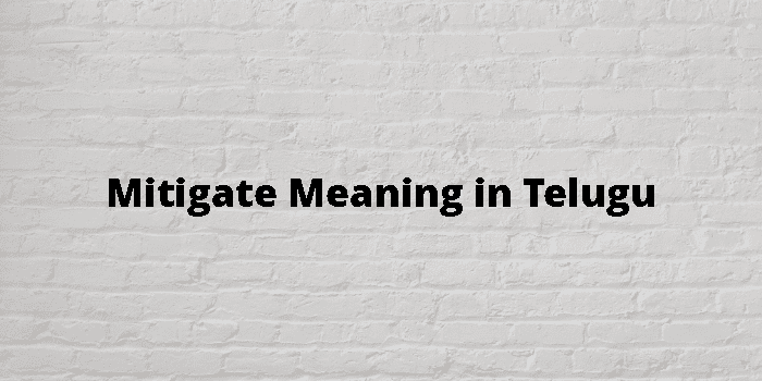 Mitigate Meaning In Telugu - తెలుగు అర్థం