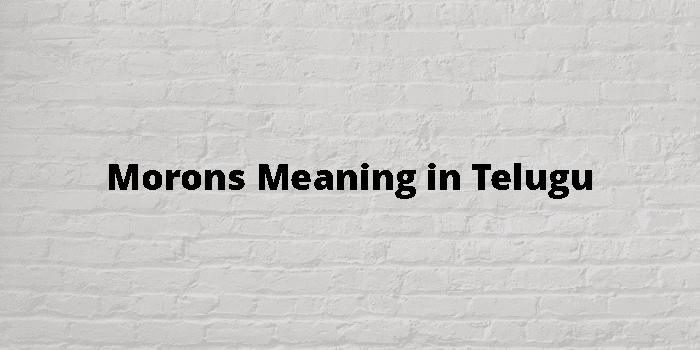 Morons Meaning In Telugu - తెలుగు అర్థం