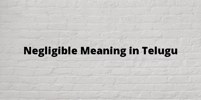 Negligible Meaning In Telugu - తెలుగు అర్థం
