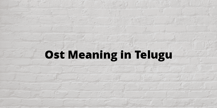 Ost Meaning In Telugu - తెలుగు అర్థం