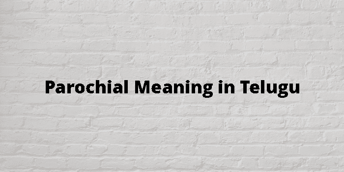 Parochial Meaning In Telugu - తెలుగు అర్థం