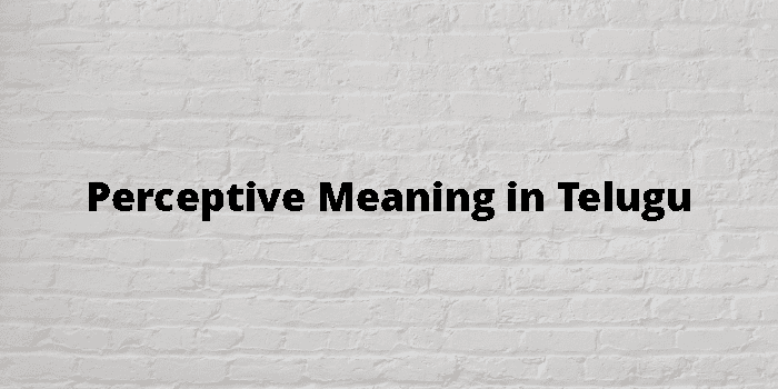 Perceptive Meaning In Telugu - తెలుగు అర్థం
