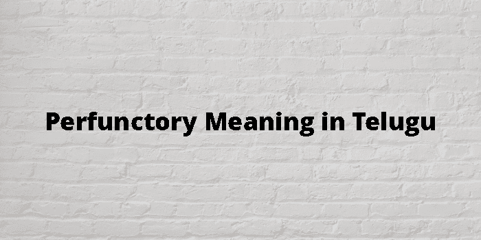 Perfunctory Meaning In Telugu - తెలుగు అర్థం