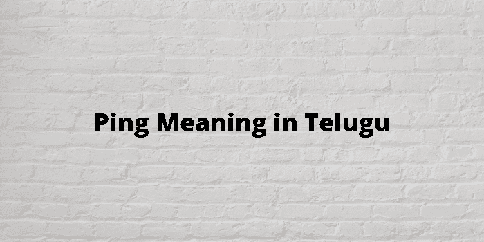 Ping Meaning In Telugu - తెలుగు అర్థం