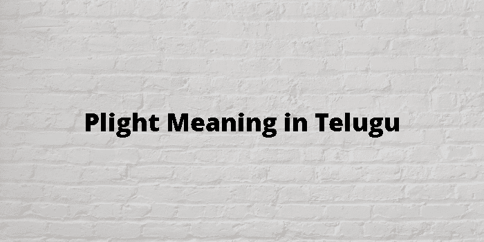 Plight Meaning In Telugu - తెలుగు అర్థం