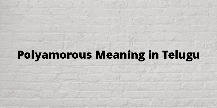 Polyamorous Meaning In Telugu - తెలుగు అర్థం
