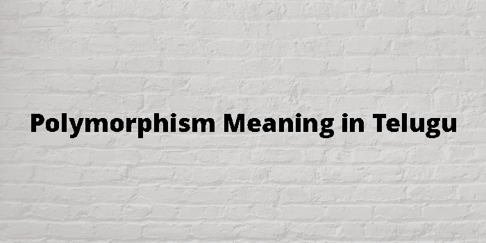 Polymorphism Meaning In Telugu తెలుగు అర్థం 4910