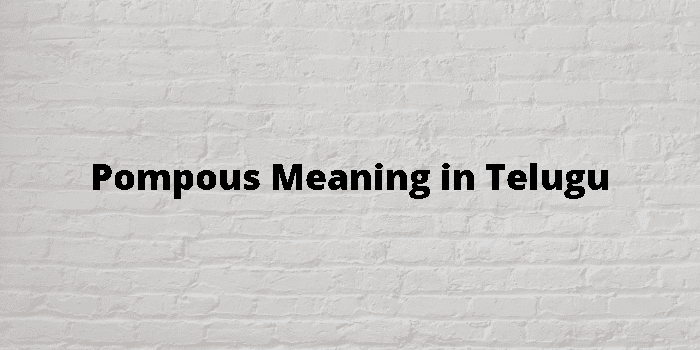 Pompous Meaning In Telugu - తెలుగు అర్థం