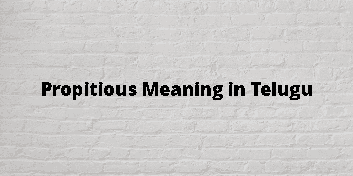 Propitious Meaning In Telugu - తెలుగు అర్థం