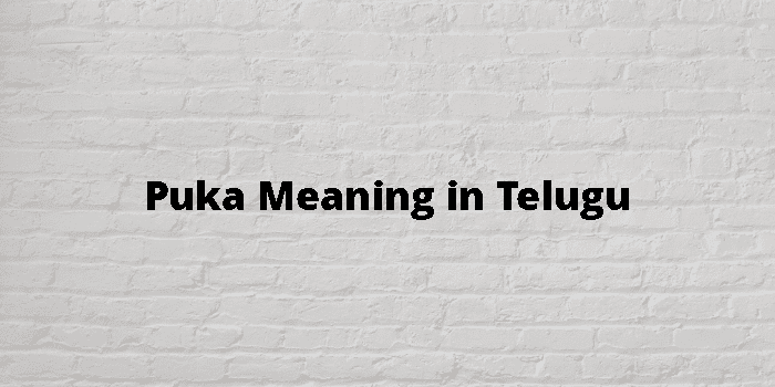 Puka Meaning In Telugu - తెలుగు అర్థం