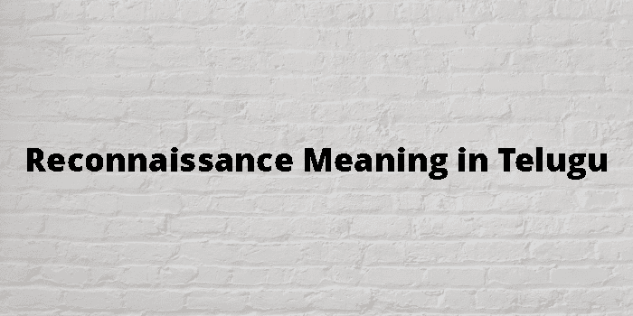 Reconnaissance Meaning In Telugu - తెలుగు అర్థం