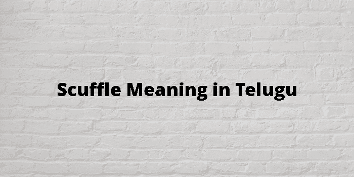 Scuffle Meaning In Telugu - తెలుగు అర్థం