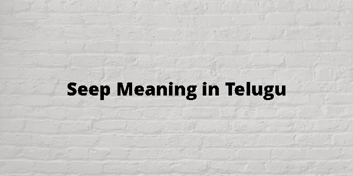 Seep Meaning In Telugu - తెలుగు అర్థం