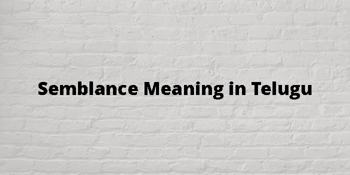 Semblance Meaning In Telugu - తెలుగు అర్థం