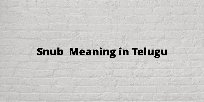 Snub Meaning In Telugu - తెలుగు అర్థం