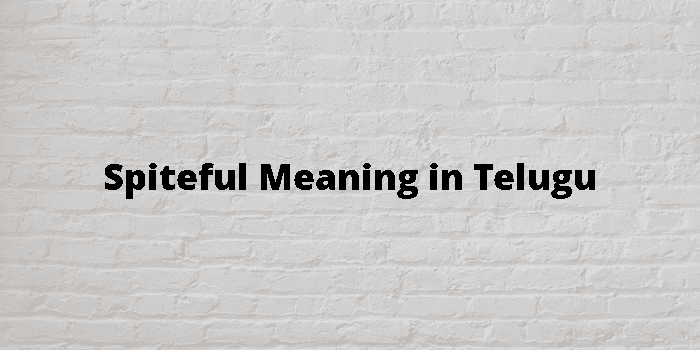 Spiteful Meaning In Telugu - తెలుగు అర్థం