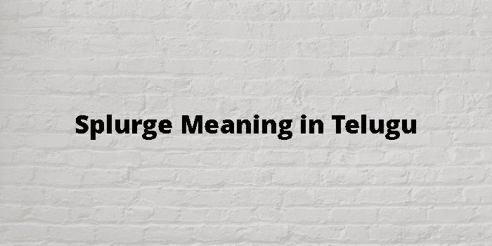 Splurge Meaning In Telugu - తెలుగు అర్థం