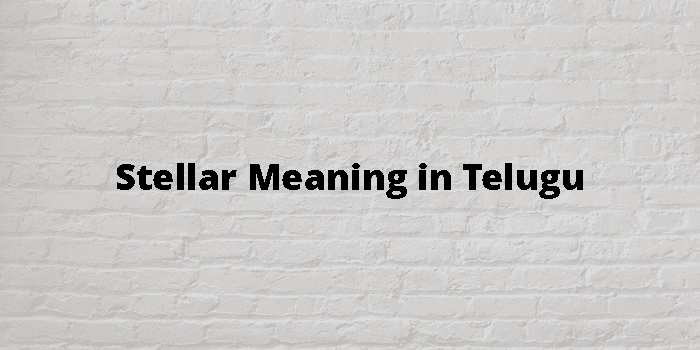 Stellar Meaning In Telugu - తెలుగు అర్థం