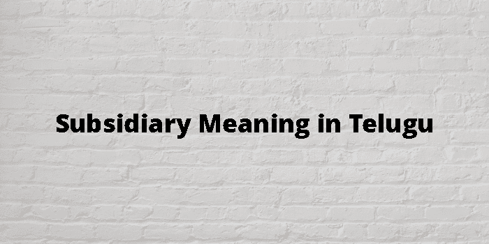 Subsidiary Meaning In Telugu - తెలుగు అర్థం