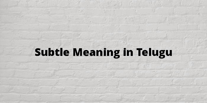 Subtle Meaning In Telugu - తెలుగు అర్థం
