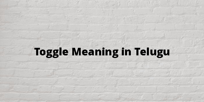 Toggle Meaning In Telugu - తెలుగు అర్థం