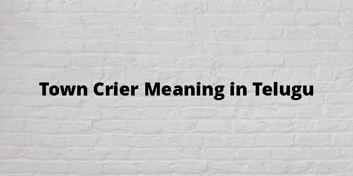Town Crier Meaning In Telugu - తెలుగు అర్థం