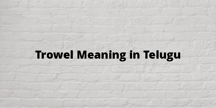 Trowel Meaning In Telugu - తెలుగు అర్థం