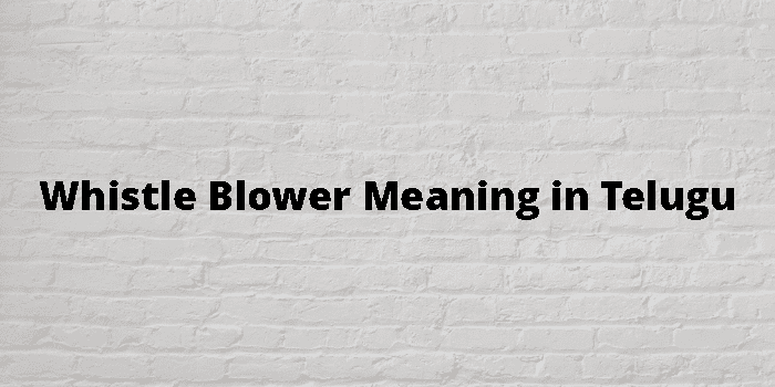 Whistle Blower Meaning In Telugu - తెలుగు అర్థం
