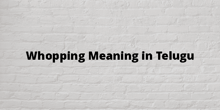 Whopping Meaning In Telugu - తెలుగు అర్థం