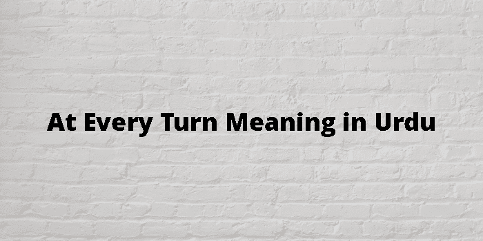At Every Turn Meaning In Urdu - اردو معنی