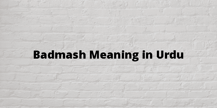 Badmash Meaning In Urdu - اردو معنی