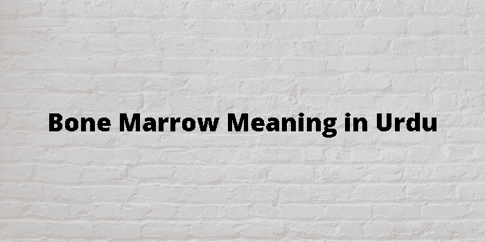 Bone Marrow Meaning In Urdu - اردو معنی